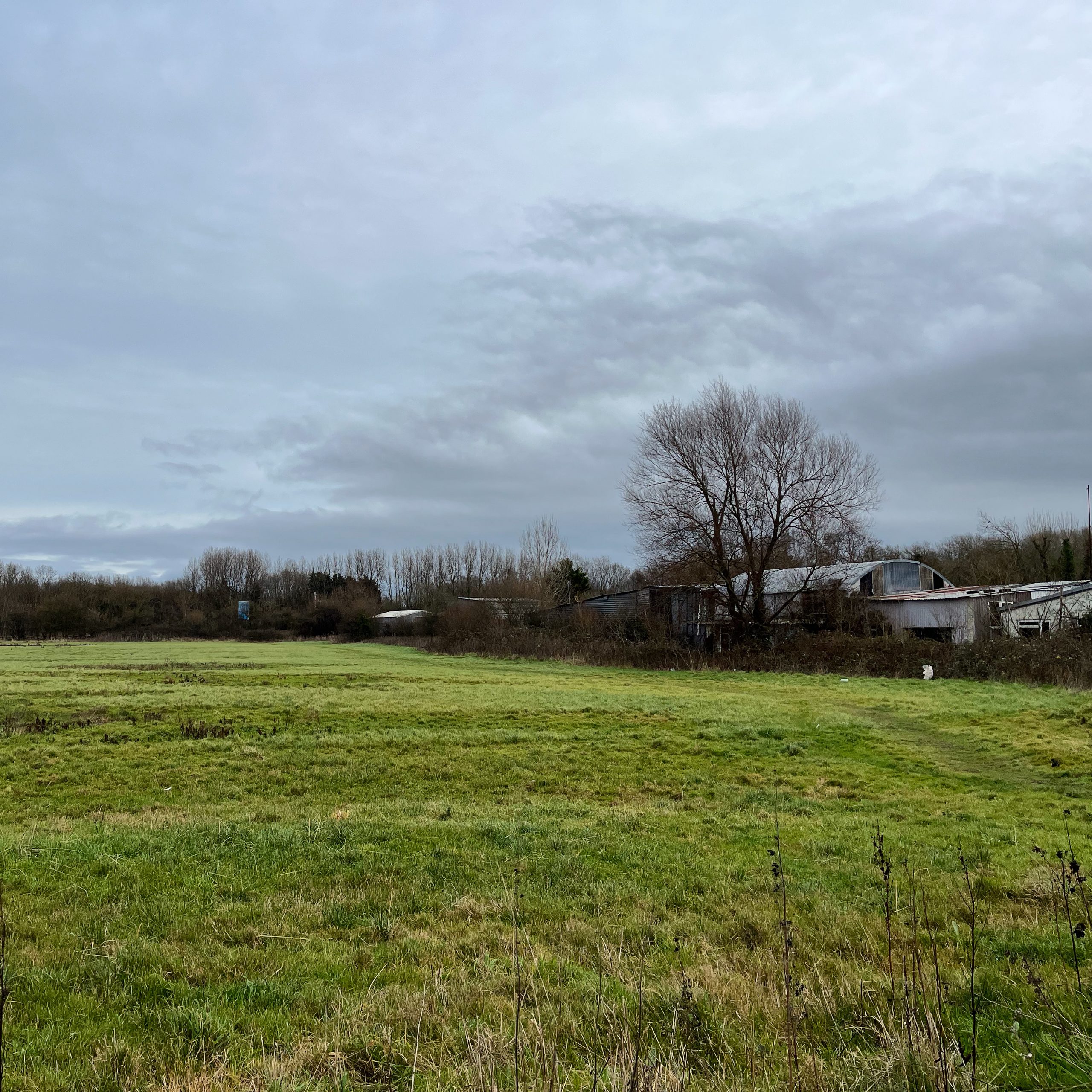 Field #366photos2024 - James Clay Stuff