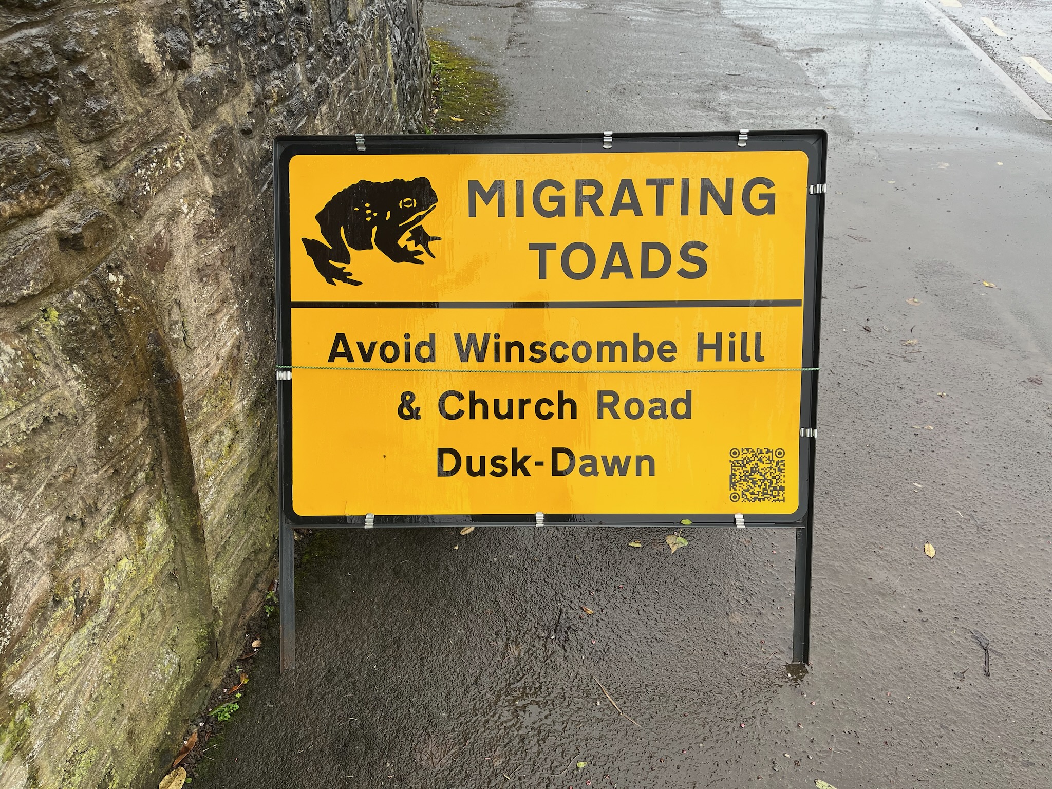 Migrating Toads - James Clay Stuff